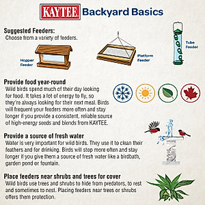 Kaytee Wild Bird Food Basic Blend, 10 lb