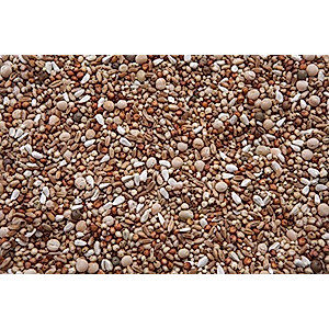 No Corn Special Pigeon Mix (13.5%) 8 lbs