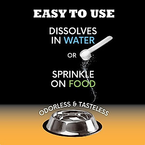 Gut Healthy Dog Prebiotic Super Powder - Digestive Health Supplement for Dogs - Supports Gut Microbiome - Boosts Immune System - Made in USA