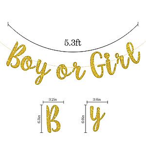 Karoo Jan Boy Or Girl Banner Gender Reveal Party Hung Bunting Pregnancy Announcement Gold Glitter Decorations Supplies