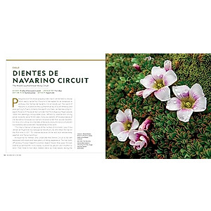 100 Hikes of a Lifetime: The World's Ultimate Scenic Trails