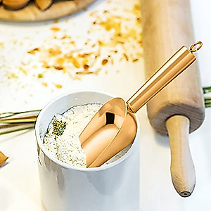 TeamFar Mini Scoop Set of 4, 3 Oz Small Canister Jar Scoops, Gold Candy Utility Scoops Stainless Steel for Scooping Coffee Bean/Sugar/Flour/Spice, Rust Free & Durable, Dishwasher Safe