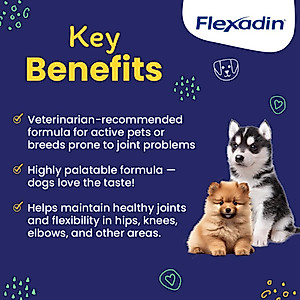 Vetoquinol Flexadin Hip and Joint Supplement with Glucosamine for Dogs, Joint Support Chew with Green-Lipped Mussel and MSM, 90-Count
