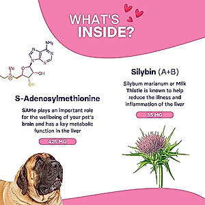 SilymarinAdvanced Liver Health Supplement for Large Dogs Combining S-Adenosylmethionine (Same) and Silybin, Liver Tablets, Cognitive Support, Pet Essentials & Wellbeing, 30 Tablets