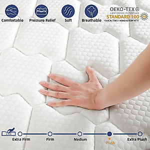 AirYoung 12 inch Queen Mattress, Memory Foam Hybird Pocket Coil Queen Mattress, Zero Pressure Deep Sleep, Motion Isolation Pressure Relief Strong Edge Support, Plush Feel, with CertiPUR-US Certified