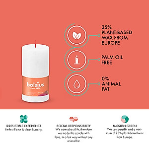 BOLSIUS 4 Pack White Rustic Pillar Candles - 2 X 4 Inches - Premium European Quality - includes Natural Plant-Based Wax - Unscented Dripless Smokeless 30 Hour Party Décor and Wedding Candles