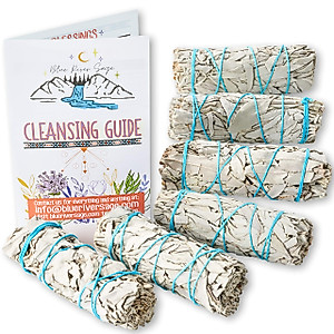 6 Pack White Sage ~ Sage Smudge Sticks for Smudging & Cleansing Energy ~ Bulk / Wholesale ~ Sustainably Grown (6 Pack)