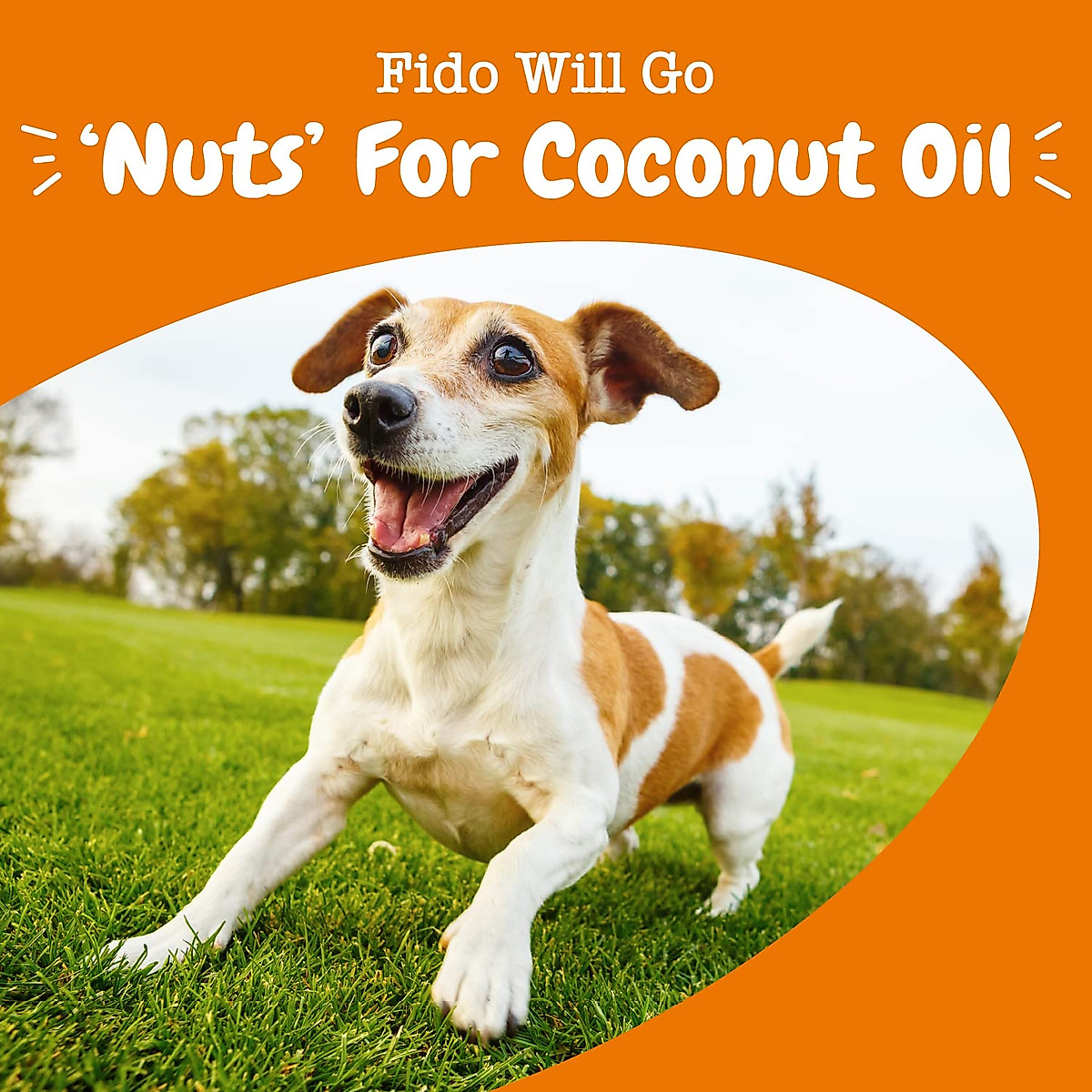 Coconut Oil for Dogs - Certified Organic & Virgin Superfood Supplement - Digestive & Immune Support - 16 OZ