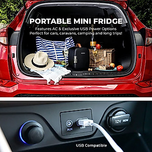 Subcold Pro4 Luxury Mini Fridge Cooler 4 Litre / 6 Cans AC & Exclusive USB ECO Power Option | Portable Small Refrigerator For The Office, Bedroom, Car, Travel, Skincare & Cosmetic (Black)