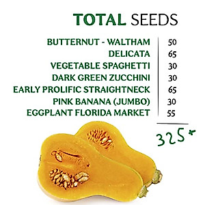 Seedra.US 6 Squash Seeds Variety Pack - 325+ Non GMO, Heirloom Seeds for Indoor Outdoor Home Garden - Summer and Winter Squash Seeds, Zucchini Seeds + Eggplant Seeds