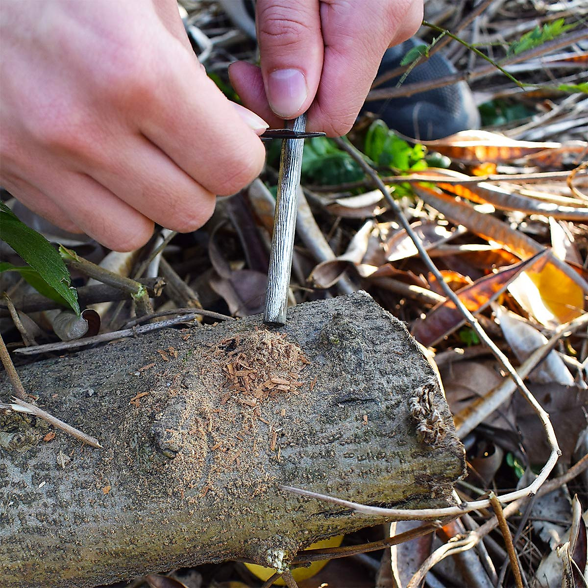 makstore Fire Starter 1/2"x5" Flint Steel Ferro Rod Survival kit with Multitool Fire Striker and Paracord for Camping, Hiking, Backpacking (Army Green)