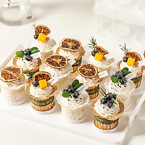 3 Tier Cupcake Carrier with Lid,Holds 36 Cupcakes or 3 Large Cakes Food Transporter Container with 3 Tier Stackable Layer Insert