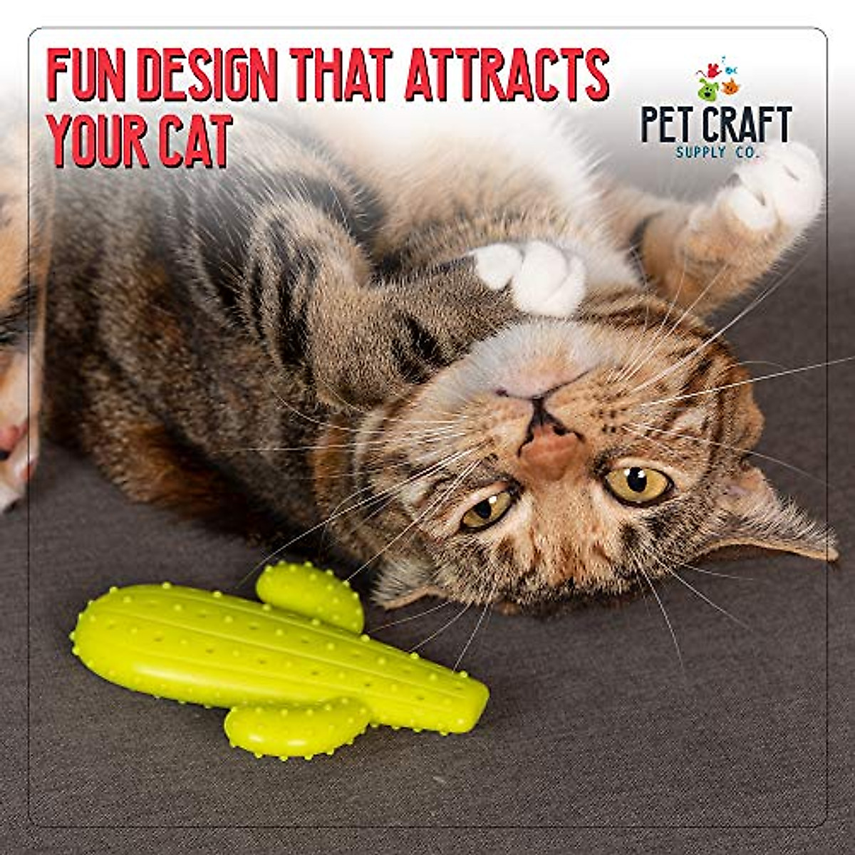 Pet Craft Supply Cactus Interactive Cat Toy Chew Toy Teeth Cleaning Bite Resistant 100% Natural Rubber with Bonus Catnip and Silvervine Bags for Kittens and Adult Cat
