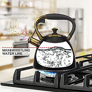 Tea Kettle -2.9 Quart Tea Kettles Stovetop Whistling Teapot Stainless Steel Tea Pots for Stove Top Whistle Tea Pot