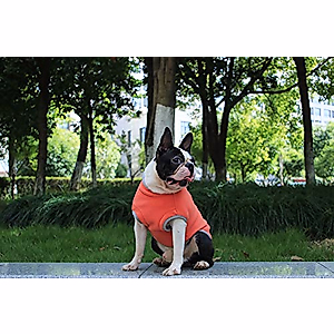 HGMOMO Dog Fleece Vest Warm Winter Upgraded Pet Clothes for Puppy Windproof Sweater Pullover Coat with D-Ring Leash Chihuahua Jackets Pug Costumes for Small Medium Cats Dogs (Small, Royal Blue)