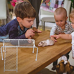 PATKAW Hamster Cage Platform Stainless Steel Rutin Chicken Rack Wire Chicken Coop Platform with Climbing Ladder for Mouses Rat Gerbil Dwarf Hamster