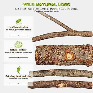 4 Pack Natural Wood Bird Perch for Bird Cages,Parrot Stand Perch Platform Exercise Playground Toys Paw Grinding Stick Perch Stand Cage Accessories for Budgies Cockatiel Conure Parakeet Lovebirds (H01)