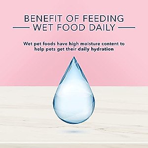 Blue Buffalo True Solutions Blissful Belly Natural Digestive Care Adult Wet Cat Food, Chicken 3-oz cans (Pack of 24)