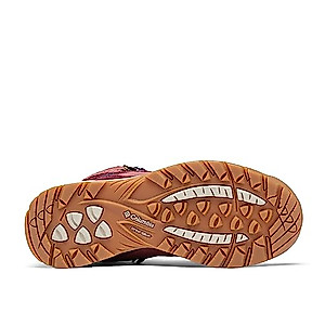 Columbia Women's Newton Ridge Plus Waterproof Amped, Beetroot/Deep Madeira, 7.5