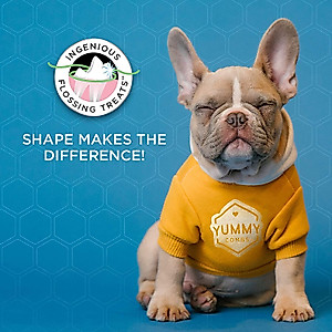 Yummy Combs Dog Dental Treat - Extra Small - Protein Formula - 12oz Carton