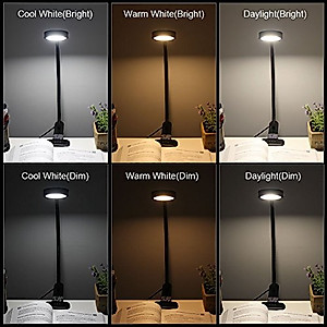 EYOCEAN Clip on Light Reading Lights, Desk Lamps, Eye Protection Kids Desk Lamp with Strong Clamp, Flexible Night Light 3 Modes 9 Dimming Levels(Included AC Adapter) Black