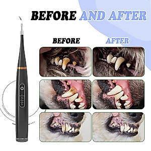 FZChenrry Plaque Remover for Teeth,Pet Ultrasonic Cleaner,Teeth Cleaning Kit for Tartar and Stains,5 Modes with Dental Tools Scaler Scraper