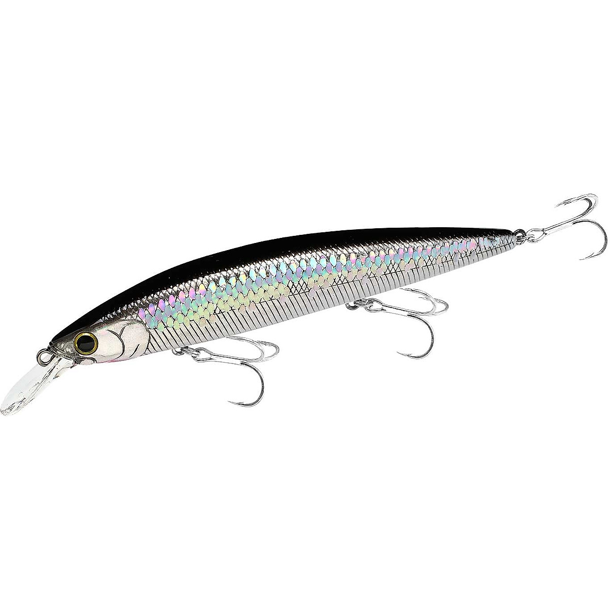 LUCKY CRAFT SW Surf Pointer 115MR (765 MS Anchovy)