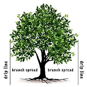 Ross 14266, Fertilizer Refills, for Evergreen Root Feeders, 36 Refill Units