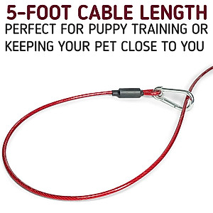 Leashboss 5 Foot Dog and Puppy Training Tie Out Cable (5 Foot Tether, Classic Red)