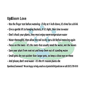Original UpBloom 32oz (1000 ml) Plant Water Bottle for Hanging Plants, Succulents and Multipurpose Watering with Adjustable Long Reach Neck Design | Indoor or Outdoor | Made in The USA