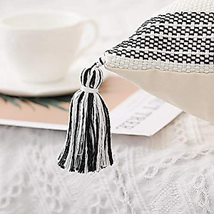 SEEKSEE Black and White Stripes Hand-Woven Rectangular Waist Throw Pillow Covers, Stylish Modern Minimalist Design for Sofa, Bedroom, Living Room(Lumbar 12 x 20 Inches,1PC)…