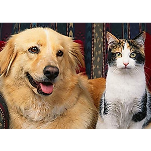 Dog Eye Problems - Pets Eye Health for Dogs and Cats - Best Premium Complex - Dog Eye Support Supplement - 2 Bottles (120 Treats)