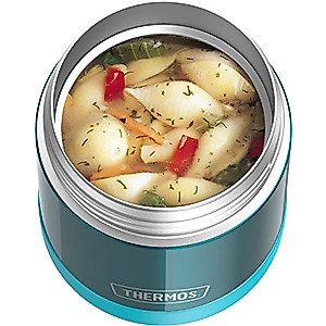 THERMOS FUNTAINER 10 Ounce Stainless Steel Vacuum Insulated Kids Food Jar, Teal
