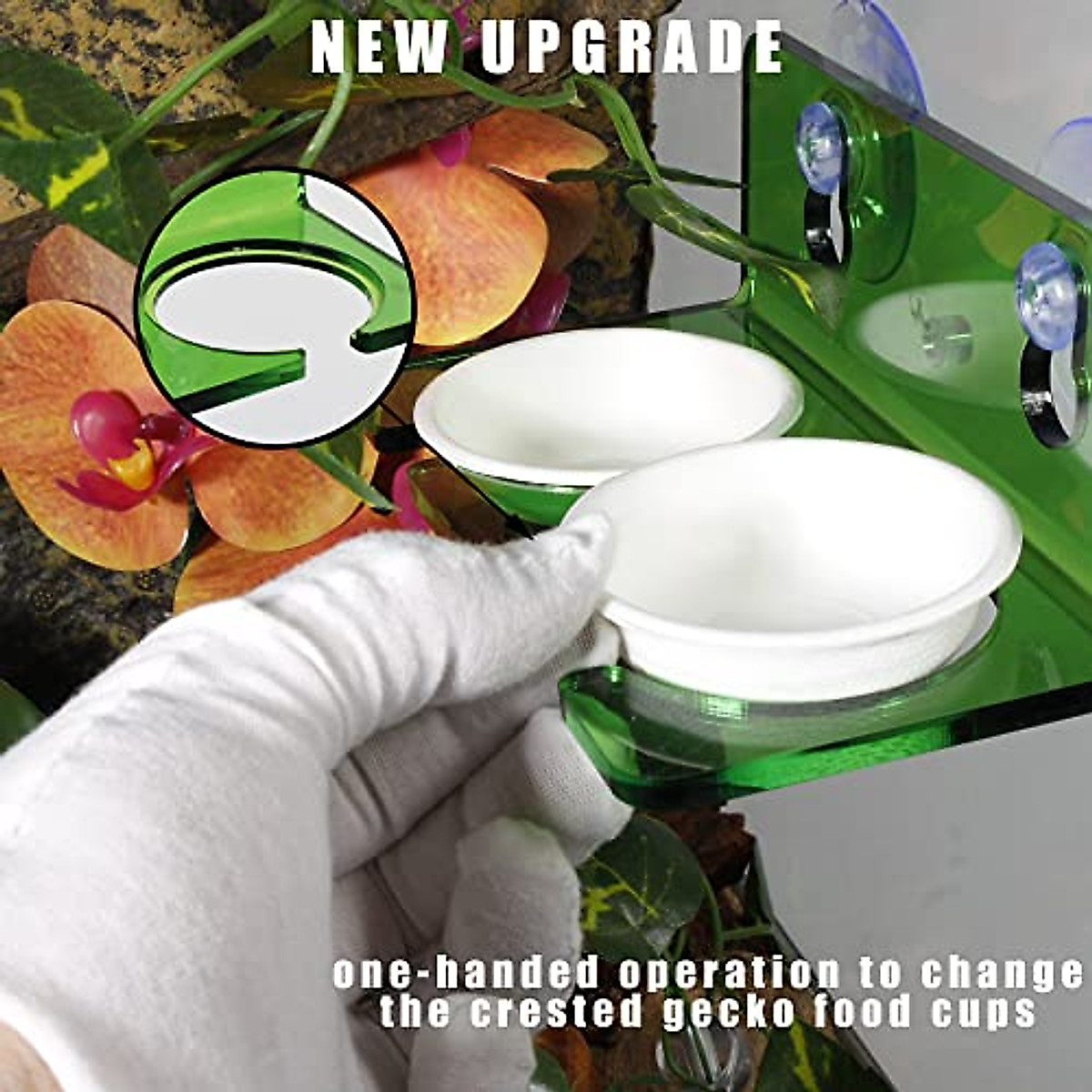 WOLEDOE Crested Gecko Feeding Ledge with 20Pcs 1oz Biodegradable Bowls, Reptile Food Cups and Water Dish