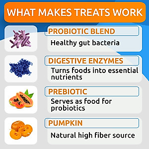 Allergy Relief Chews + Probiotics for Dogs - Digestive Enzymes for Allergies Itchy Skin w/Fish Oil Omega 3 - Dogs Digestive Health - Gas, Diarrhea,