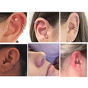 PEAKLINK Conch Piercing Jewelry G23 Titanium Cartilage Ring 16G Nose Hoop Rings with CZ Helix Earrings Seamless Hinged Segment Ring Conch Ring Cartilage Earrings 8mm Nose Hoop Jewelry Silver