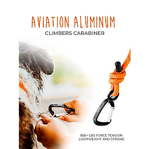 Mighty Paw Rope Dog Leash - Durable Climbing Lead - Reflective Stitching - Comfort Handle - Suitable for All Pet Sizes - Heavy Duty Dog Leash with Carabiner - Long Dog Leash - (6 Feet, Orange)