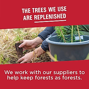 Vanity Fair Everyday Napkins, 200 Count (Pack of 1) (Packaging Design May Vary)