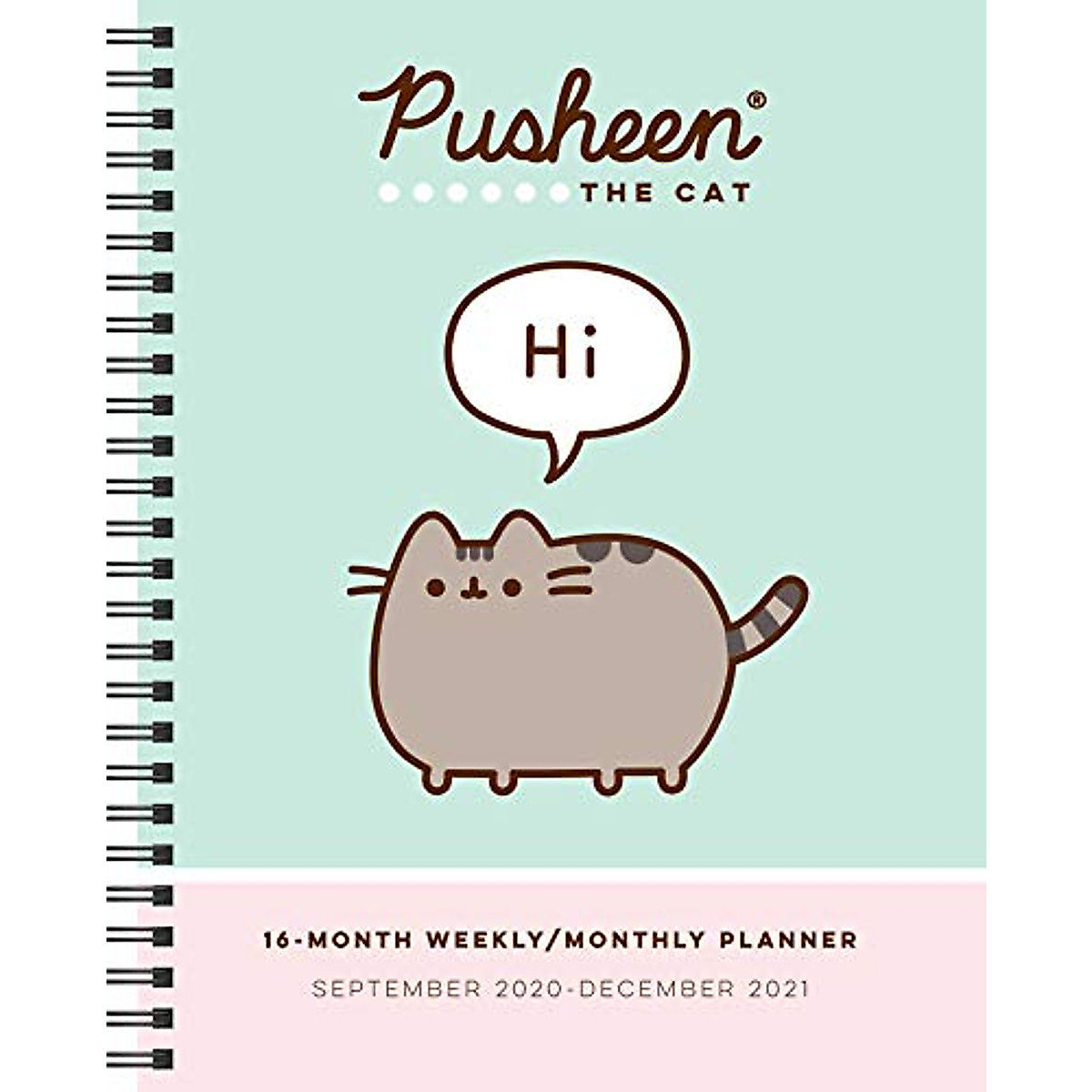 Pusheen 16-Month 2020-2021 Weekly/Monthly Planner Calendar