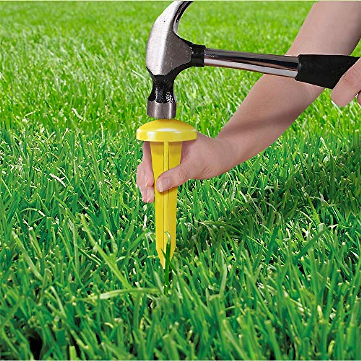 Simple Solution Pee Post Outdoor Potty Training Aid | Pheromone-Infused Yard Stake with GO HERE™ Technology | 13 Inch Stake