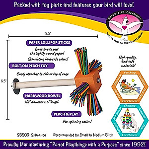 Super Bird Creations SB509 Spin-a-roo Bird Perch Toy, Small/Medium Bird Size, 8.5" x 6.5" x 6.5"