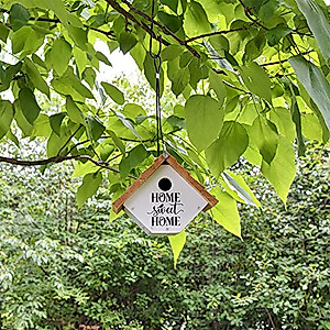 Wild Wings WWLH2-DECO Farmhouse Wren House, White