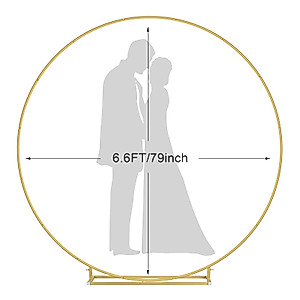 6.6FT Round Backdrop Stand, Wedding Metal Circle Balloon Arch Kit Frame Flower Ring Stand for Wedding Birthday Party Ceremony Anniversary Graduation Backdrop Decoration, Gold