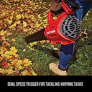 CRAFTSMAN 20V MAX WEEDWACKER String Trimmer and Leaf Blower Combo Kit, Battery and Charger Included (CMCK197M1 )