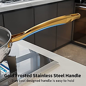 Homaz life 8-Inch Frying Pan, Tri-Ply Stainless Steel Cookware, Induction Ready, Compatible with All Cooktops, Dishwasher Safe, Non-Toxic, Gold-Colored Stay-Cool Handle