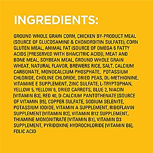 PEDIGREE Small Dog Adult Complete Nutrition Roasted Chicken, Rice & Vegetable Flavor Dry Dog Food 15.9 Pounds