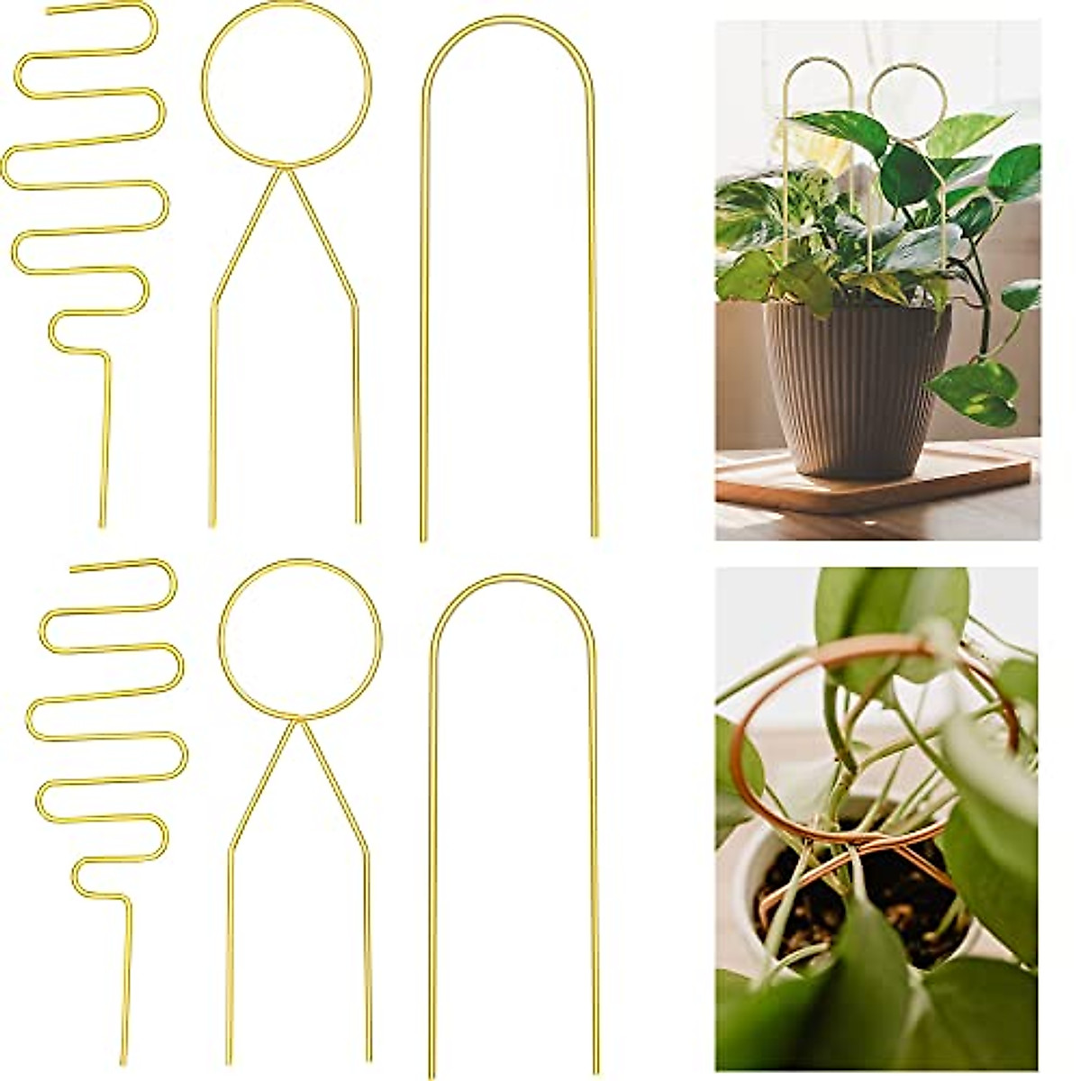 6Pcs Plant Trellis, Gold Trellis for Climbing Plants Indoor, Mini Trellis for Potted Plants Support Stake House Plant Trellis for Garden Potted Plant, Hoya, Pothos, Flower, Monstera