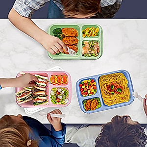 6 Pack Lunch Containers for Kids, 3 Compartment Bento Lunch Box, Reusable Food Storage Bento Box Meal Prep Containers for School, Work and Travel with Forks and Spoons