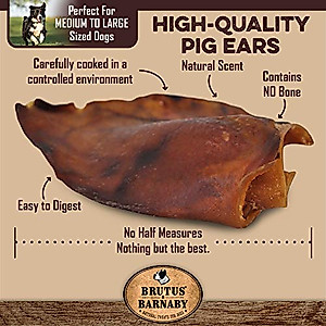 100% Natural Whole Pig Ear Dog Treat - 12 Pack - Our Healthy Dog Pig Ears Are Easy To Digest, Chemical & Hormone Free Thick Cut Pig Ears For Dogs Aggressive Chewers, Great For Small Or Large Dogs