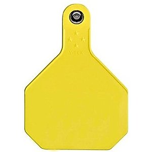 Ear Tags Yellow Large Blank 25/Pk